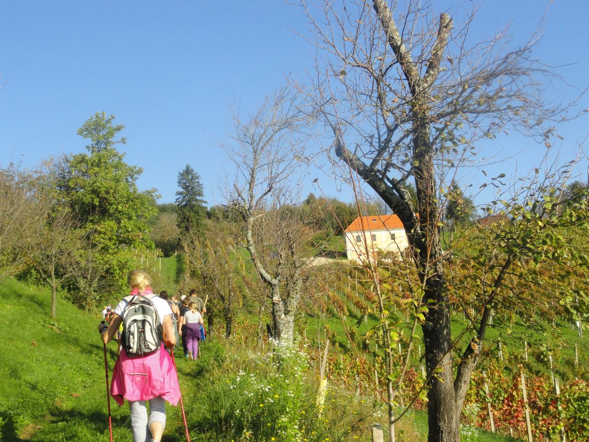 Bizeljsko - Tradicionalno na bizeljski grad
