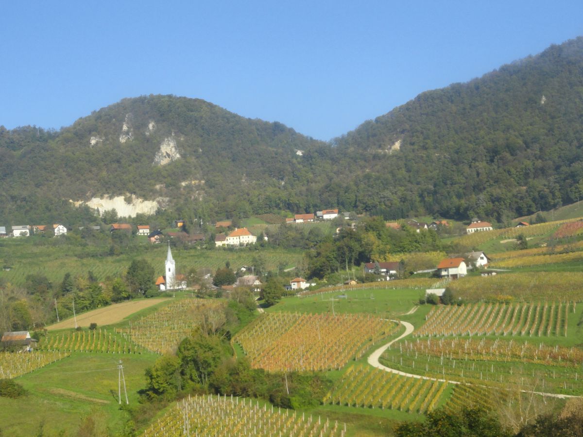 Bizeljsko - Tradicionalno na bizeljski grad