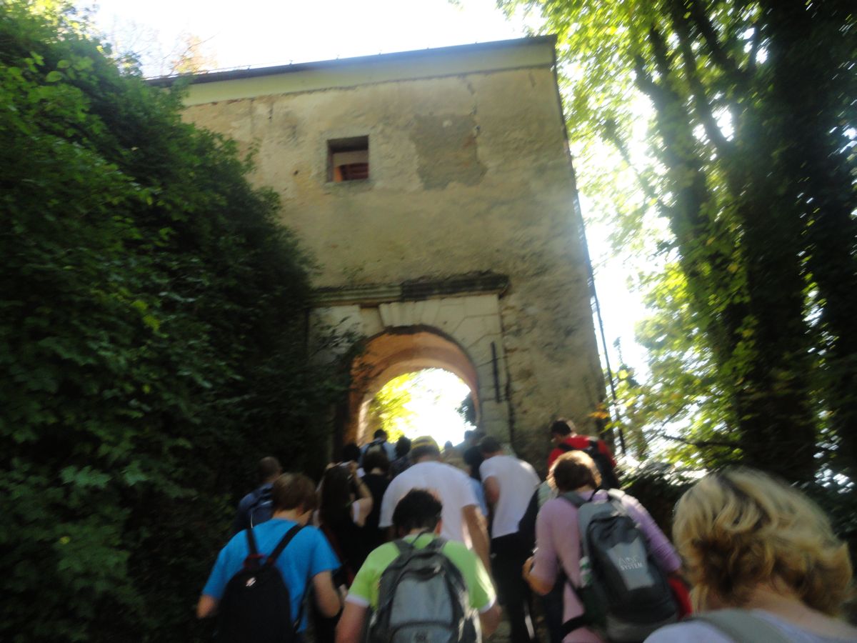 Bizeljsko - Tradicionalno na bizeljski grad