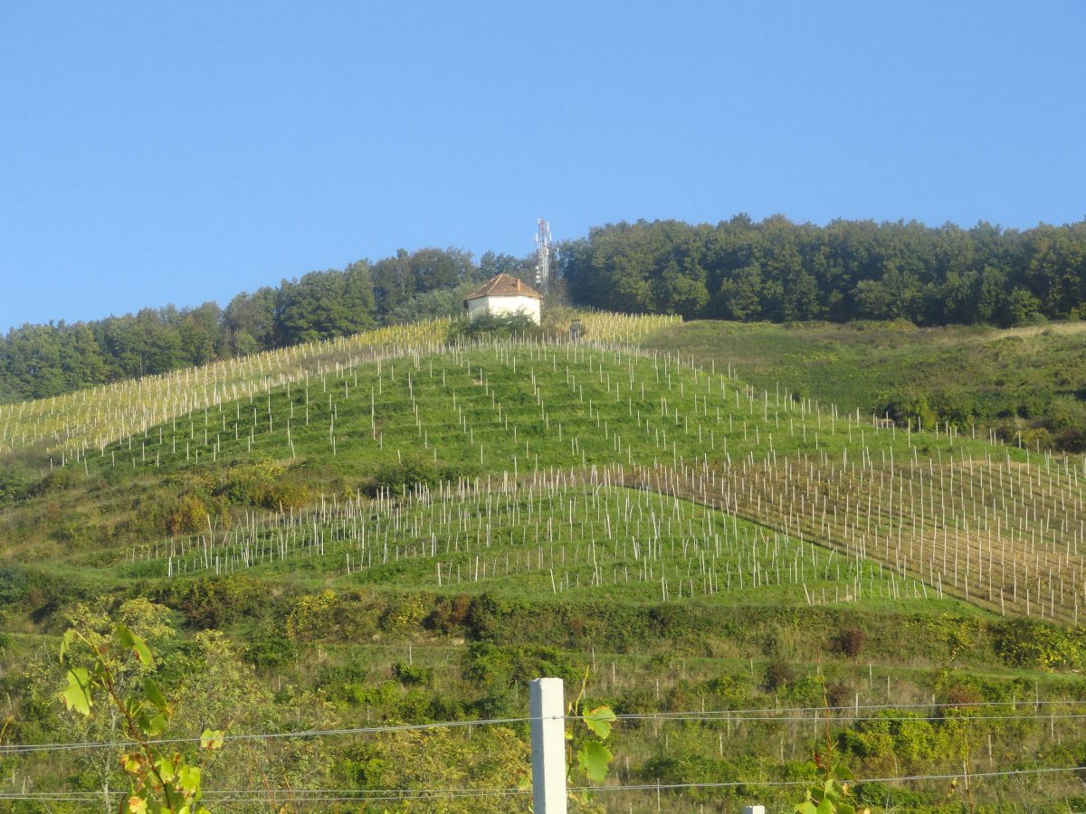 Bizeljsko - Tradicionalno na bizeljski grad